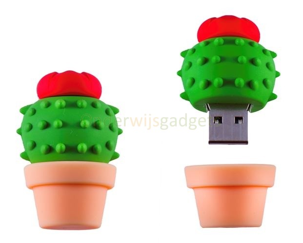 USB-stick Cactus 16GB